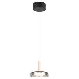 Trio LEUCHTEN LED Pendelleuchte "CELESTE dimmbare LED Hängelampe aus Metall Glas & Holz, 10W 1100 Lumen", schwarz (schwarz matt), 1, Ø 22cm H: 200cm, 1 Stk., Leuchten, einfach höhenverstellbar von 50-200 cm, Ø 22cm, 3-Stufen Dimmfunktion