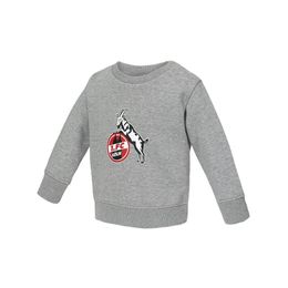Fußballverein 1. FC Köln Kinder Sweatshirt "Sweatshirt Basic" in Grau | Gr.: 86/92