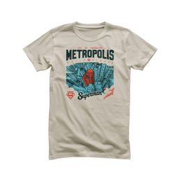 Superman T-Shirt "Metropolis Daily Planet T-Shirt" in Khaki | Gr.: XXL