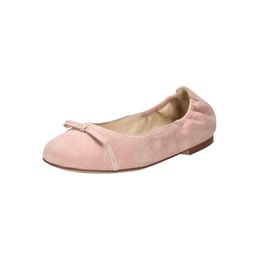 Högl Högl Ballerinas in Powder | Gr.: 38,5