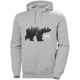 Helly Hansen Hoodie "Logo Hoodie" in Grau | Gr.: S