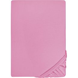 Spannbettlaken Biberna "Marc", pink, L:200cm, Jersey, Obermaterial: 100% Baumwolle, Bettlaken, aus Baumwolle, für Matratzen bis 22 cm Höhe, Bettlaken, Spannbetttuch