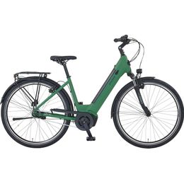 E-Bike Prophete "Geniesser 3.8" Gr. 48, grün (grün, schwarz), Elektrofahrräder, 48cm, 28 Zoll (71,12cm), Topseller