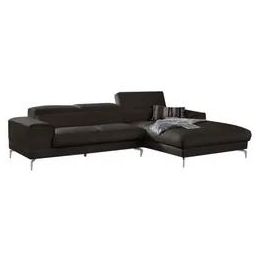Ecksofa W.Schillig "piedroo, Designsofa mit tollem Sitzkomfort, bequem und elegant, L-Form", braun (braun z59), B:303cm H:70cm T:193cm, Longlife Xtra-Leder Z59: Glattleder mit modischer Prägung. Hautstärke 0, 9 - 1, 1 mm, Sofas, Kopfteilverstellung, wahlweise mit Sitztiefenverstellung, Breite 303cm