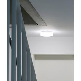 Bega 50038K27 Decken- und Wandleuchte
