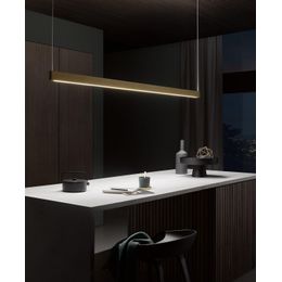 Bega 51264.4K3 Pendelleuchte
