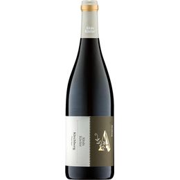 Aloisiushof Pinot Noir Kirchberg Sp&auml;tburgunder 2019 Trocken - St. Martiner Pfalz &ndash; Rotwein Qualit&auml;tswein