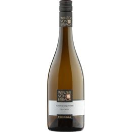 Winzer von Erbach Grauburgunder 2024 Trocken - Rheingau &ndash; Wei&szlig;wein Qualit&auml;tswein