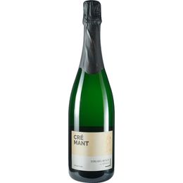 Weingut Strubel-Roos Tradition brut Wei&szlig;burgunder 2023 Brut - Rheinhessen &ndash; Perl- & Schaumwein Cr&eacute;mant