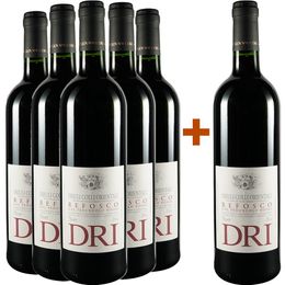 Giovanni Dri 5+1 Paket dal Peduncolo Rosso Friuli Colli Orientali Refosco 2017 Trocken - Friaul &ndash; Probierpaket DOC