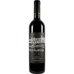Cantina Cardeto Umbria Merlot 2022 Trocken - Umbrien &ndash; Rotwein IGP