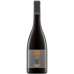 Weingut Georg und Johannes Jung Sp&auml;tburgunder 2019 Trocken - Undenheim H&ouml;llkopf Rheinhessen &ndash; Rotwein Qualit&auml;tswein