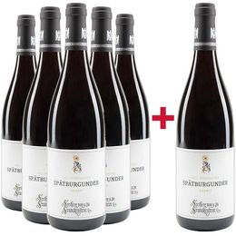 Weingut Freiherr von Franckenstein Zell-Weierbacher "Granit" Paket Sp&auml;tburgunder 2020 Trocken - Baden &ndash; Probierpaket VDP.Ortswein