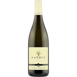 Gandin Friuli Isonzo Pinot Grigio 2024 Trocken - Friaul &ndash; Wei&szlig;wein DOC