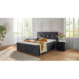 Boxbett LEONIQUE "Alfie, Topseller Inkl. Bettkasten&Topper", schwarz, L:211cm, Holzwerkstoff, Spanplatte, Komplettbetten, Wahlweise mit Knopfsteppung oder Strasssteinen, H2, H3 und H4 wählbar, Topseller