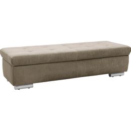 Hocker DOMO collection "Treviso XXL: B/T/H: 161/60/41 cm", braun (schlamm), B:161cm H:41cm T:60cm, 100% Polyester, Hocker, Hocker mit Stauraum Polsterhocker, mit Stauraum, auch in Cord, passend zur Serie, moderne Steppung