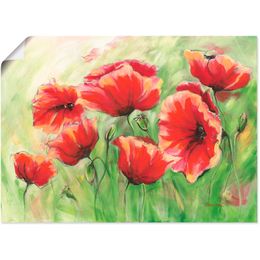 Wandbild Artland "Rote Mohnblumen II", rot (farbe bild(er): rot), B:70cm H:50cm T:0,1cm, Papier, Bilder, als Leinwandbild, Poster in verschied. Größen