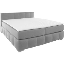 Boxspringbett Home Affaire "Chelles", grau, B:207cm L:245cm, Samtoptik (100% Polyester);Bezug der Spiegelfl&auml;che Matratzendrell aus 100% Polyester;Struktur fein 100% Polyester), Komplettbetten, Boxspringbett, inkl. Topper,, in XXL- &Uuml;berl&auml;nge 220 cm, Unterbox mit feine W&ouml;lbung