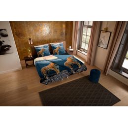 Wendebettwäsche "Sky", bunt (multi), B/L: 135cm x 200cm, 1 Stk., 1 Stk., Microfaser, B/L: 80cm x 80cm, 2 Stk., Microfaser, Obermaterial: 100% Polyester, PURE LUXURY COLLECTION, Bettwäsche, Mikrofaser, 135x200, Pflegeleicht, Reißverschluss, Wendeoptik, Tiger