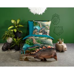 Kinderbettwäsche "Neneh", bunt (multi), B/L: 135cm x 200cm, 1 Stk., 1 Stk., Microfaser, B/L: 80cm x 80cm, 2 Stk., Microfaser, Obermaterial: 100% Polyester, PURE LUXURY COLLECTION, Bettwäsche, 135x200, Pflegeleicht, Reißverschluss, Wendeoptik, Kind, Junge, Dino