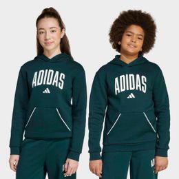 Kapuzensweatshirt adidas Sportswear "J CLGT OH FL HD", Kinder, Gr. 128, weiß (aurora ivy, weiß), Obermaterial: 55% Baumwolle, 36% Polyester, 9% Viskose, Sweatshirts
