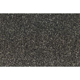 Miltex Schmutzfangmatte EAZYCARE RUSH, LxB 900 x 1500 mm, kohlengrau