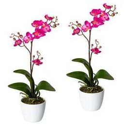 Kunstpflanze Creativ green "Orchidee Phalaenopsis", pink, H:55cm, Kunststoff, Polyester, Kunstpflanzen, im Keramiktopf