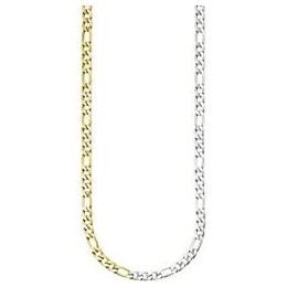 Edelstahlkette "Schmuck Geschenk Edelstahl Halsschmuck Figarokette", gelb (gelbgoldfarben, edelstahlfarben), ANISTON JEWELRY & WATCHES, Halsketten, Damen, Edelstahl, L: 55 B: 6,6mm, B:6,6mm
