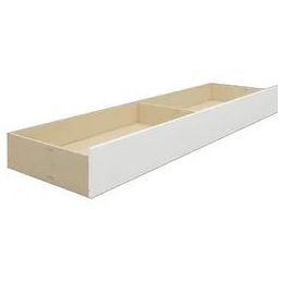 Bettschubkasten OTTO HOME "Magdala, Bettkasten, Schublade", wei&szlig;, B:199cm H:21cm T:56,5cm, Holz teilmassiv, Schubladen, Bettschubkasten
