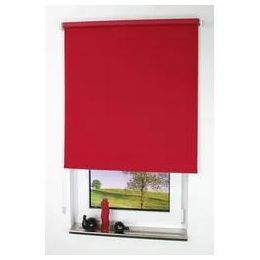 Seitenzugrollo Liedeco "Uni" Gr. 1, rot (dunkelrot), B:62cm H:180cm, Polyester, Rollos