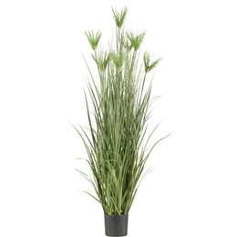 Künstliche Pflanze Cyperus longus Gras, Kunststofftopf, Höhe 1800 mm kaiserkraft