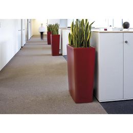 DEGARDO Pflanzbeh&auml;lter, TREVIA 900K, HxBxT 900 x 900 x 390 mm, rubinrot