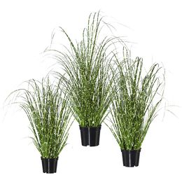 Grasbusch, Miscanthus Zebrinus, VE 3 Stk, Höhe 420 mm kaiserkraft