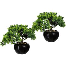 Bonsai Lärche, Behältnis-Ø 150 mm, VE 2 Stk, Höhe 260 mm kaiserkraft