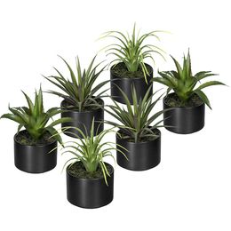 Aloe, Agave Tillandsie, im Keramiktopf, VE 6 Stk, Höhe 250 mm, 3-fach sortiert kaiserkraft