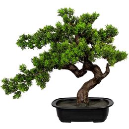 Bonsai Myrte, HxB ca. 400 x 400 mm, in Kunststoffschale kaiserkraft