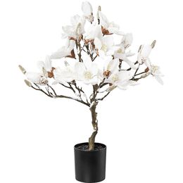 Magnolienbaum, beschneit, im Kunststofftopf, weiß, Gesamthöhe 580 mm kaiserkraft