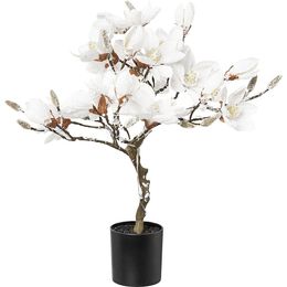 LED-Magnolienbaum, beschneit, im Kunststofftopf, weiß, Höhe 580 mm, mit 20 LEDs kaiserkraft