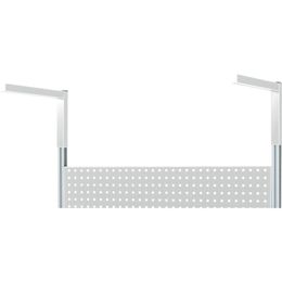 Rau Auslegerpaar, BxHxT 45 x 550 x 300 mm, lichtgRau RAL 7035