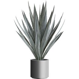Agave tequilana, Kunststofftopf, Höhe 1100 mm kaiserkraft