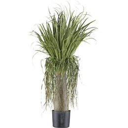 K&uuml;nstliche Pflanze Beaucarnea, Kunststofftopf 125 cm, H&ouml;he 1250 mm kaiserkraft