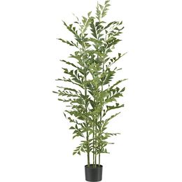 K&uuml;nstliche Pflanze Caryota mitis Palme, Kunststofftopf, H&ouml;he 1500 mm kaiserkraft