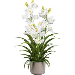 K&uuml;nstliche Orchidee Cymbidie, Melamintopf, H&ouml;he 700 mm kaiserkraft