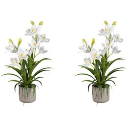 K&uuml;nstliche Orchidee Cymbidium, VE 2 Stk, H&ouml;he 580 mm kaiserkraft