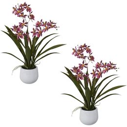 Künstliche Pflanze Cambria-Orchidee, VE 2 Stk, Höhe 500 mm kaiserkraft
