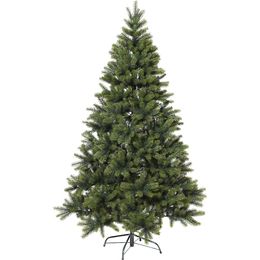 Tannenbaum, 1261 Spitzen, Höhe 180 cm kaiserkraft