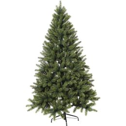 Tannenbaum, 783 Spitzen, Höhe 150 cm kaiserkraft