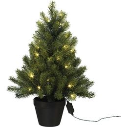 Tannenbaum im Topf mit LEDs, mit 50 Lichtern, 230 V, Höhe 60 cm kaiserkraft