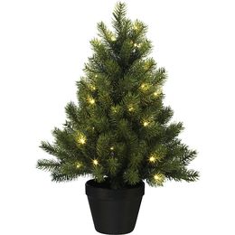 Tannenbaum im Topf mit LEDs, mit 50 Lichtern, Batterien, Höhe 60 cm kaiserkraft