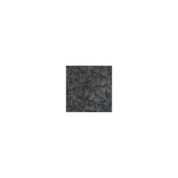 Miltex Schmutzfangmatte EAZYCARE STYLE, LxB 1200 x 800 mm, basaltgrau